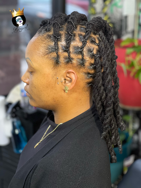 10 Inch Dreadlock Extensions – Royal Kinks N Coils